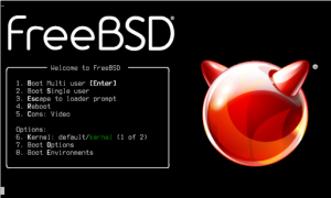 How to Install FreeBSD on VMware | FreeBSD Foundation